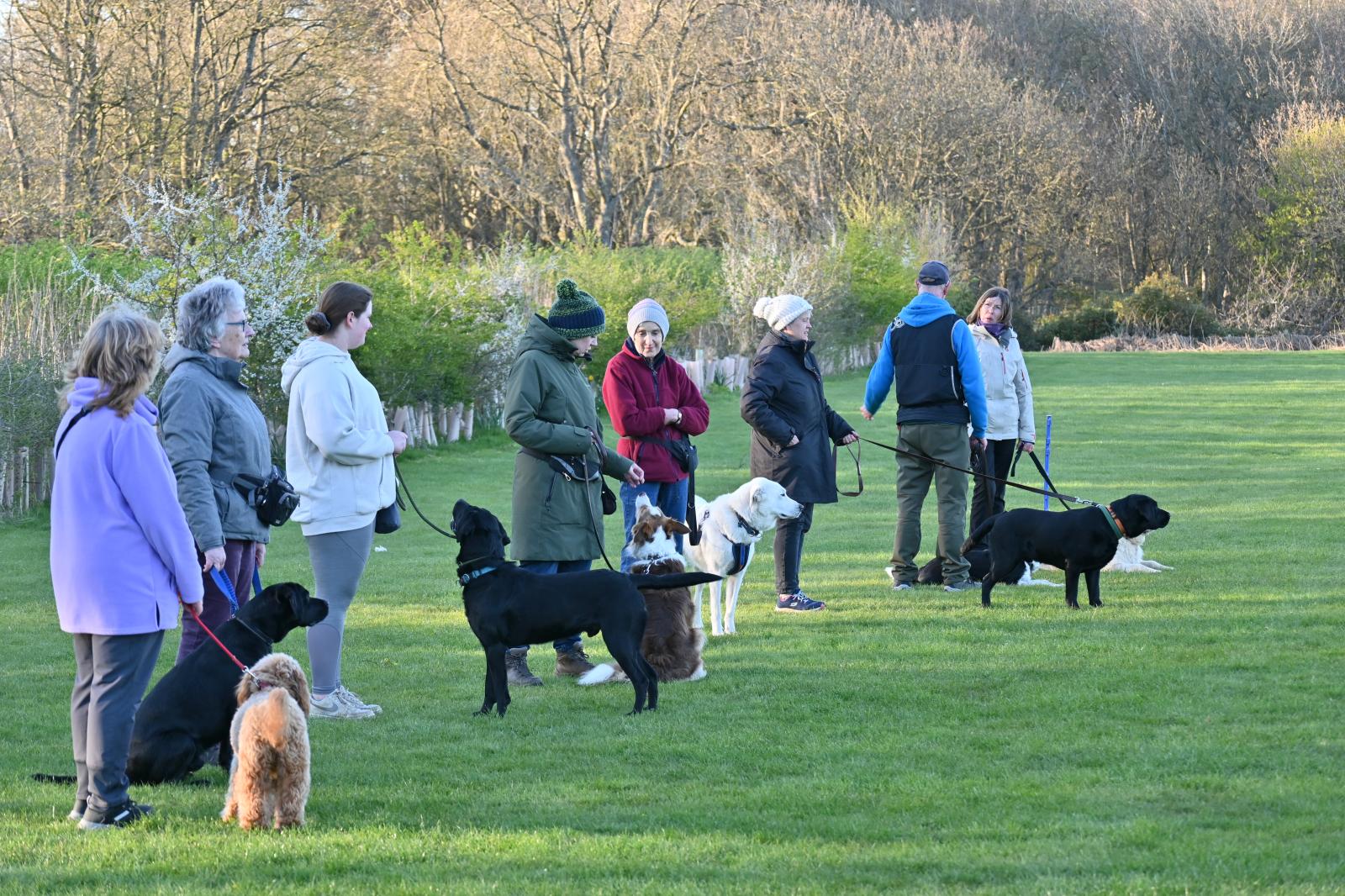 Midlothian Dog Training Club